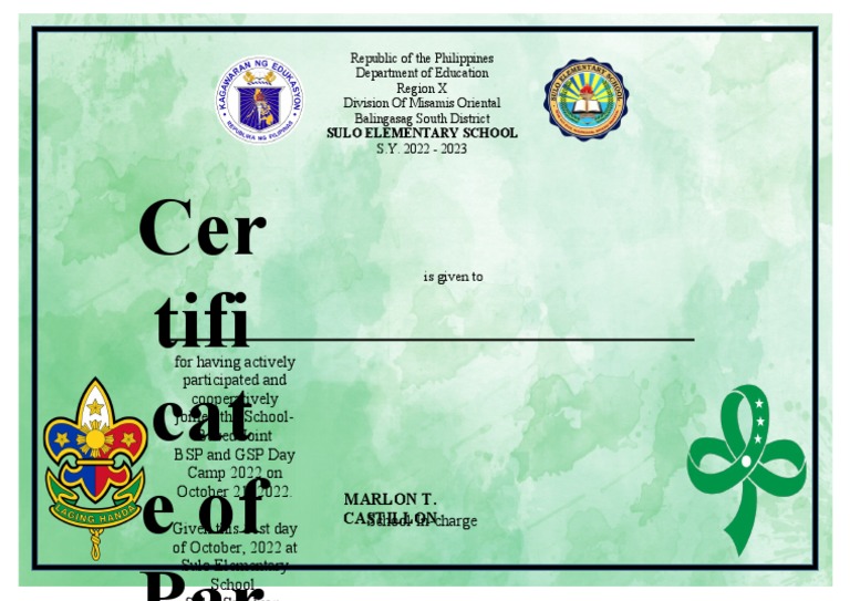 Joint BSP GSP Certificate of Participation | PDF