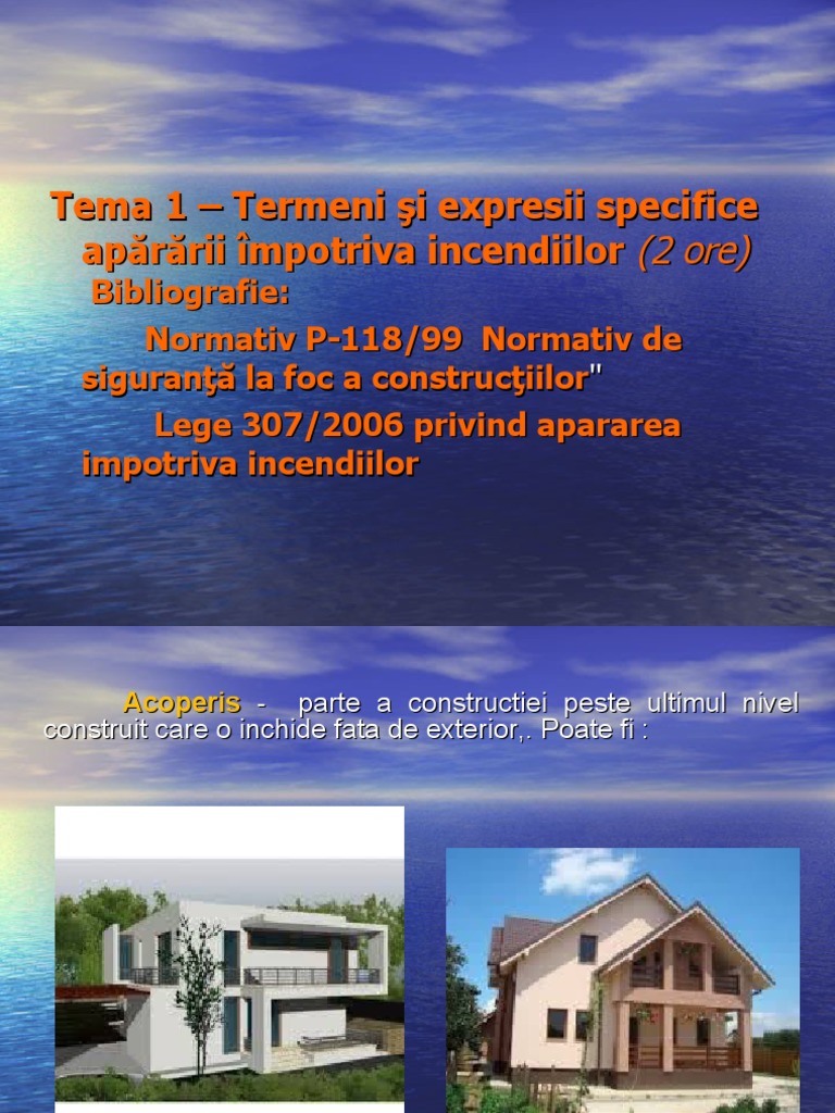 TEMA 1 Termeni-Expresii Specifice | PDF