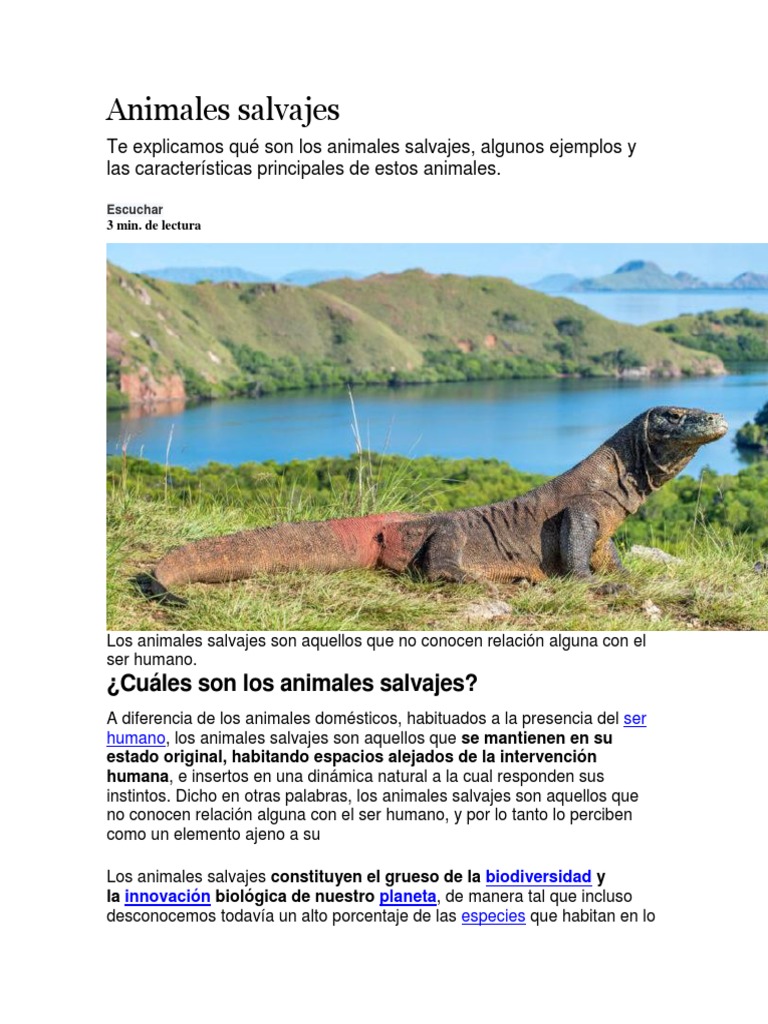 Biografia Animales Salvajes | PDF | Tiburones | Mamíferos