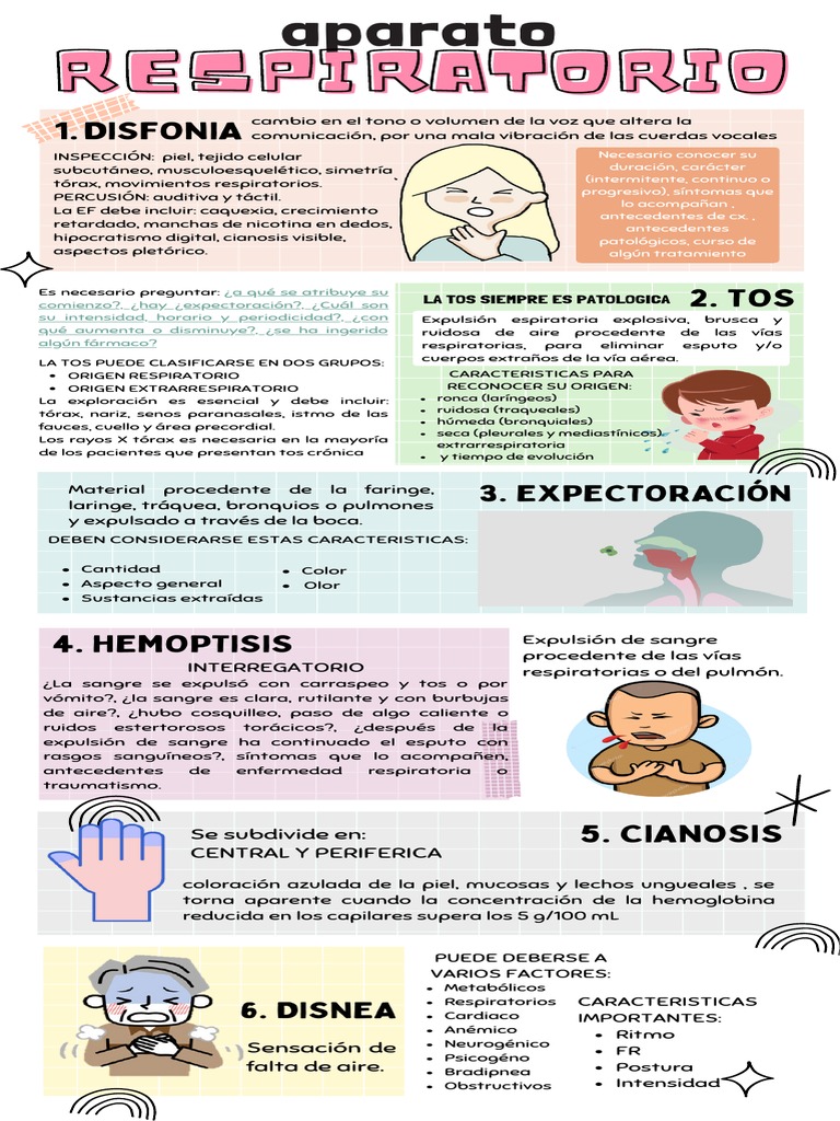 Infografía Aparato RESPIRATORIO | PDF | Tos | Sistema respiratorio