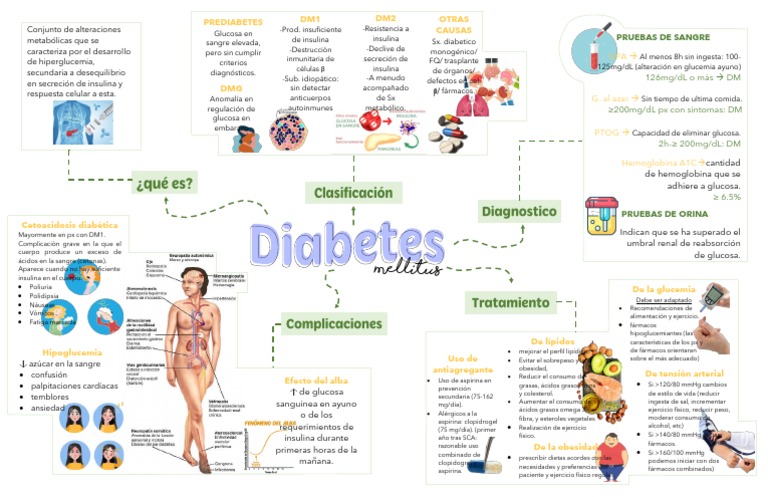 Mapa Mental de la Diabetes Mellitus | PDF | Diabetes | Enfermedades y ...