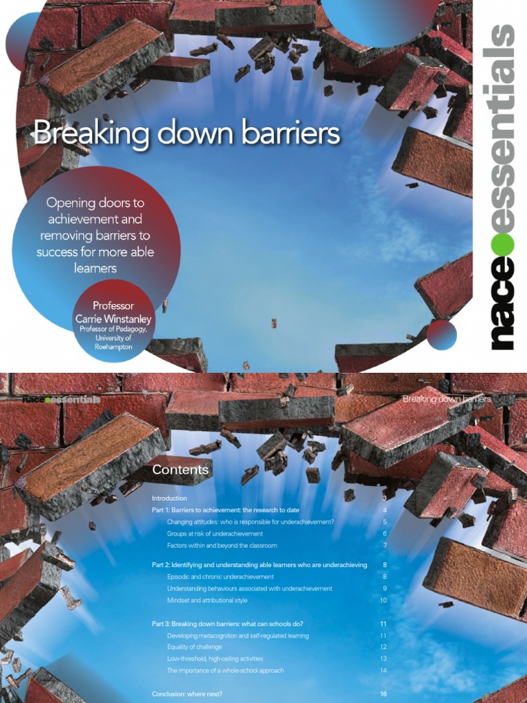 Breaking Down Barriers | PDF