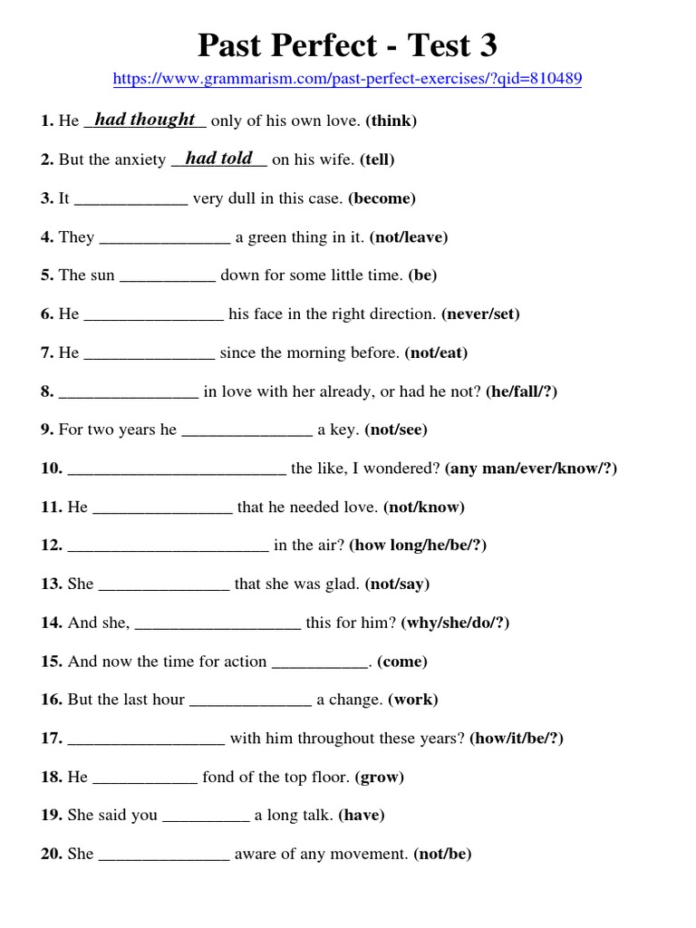 Past Perfect Tense Exercises Test 3 | PDF