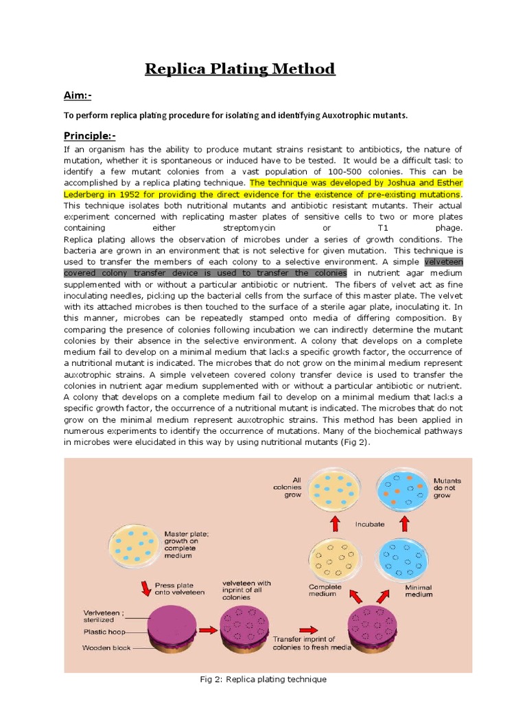 Replica Plating Method | Download Free PDF | Growth Medium | Biology