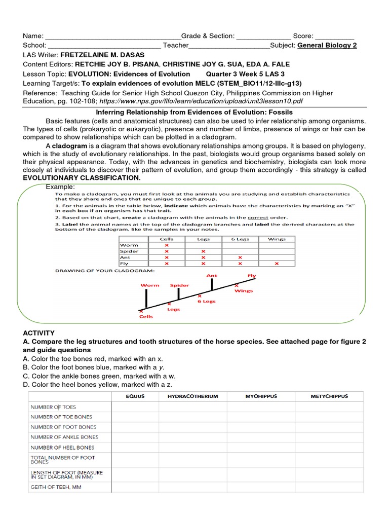 Inferring Relationships from Evidences of Evolution: A Cladogram ...