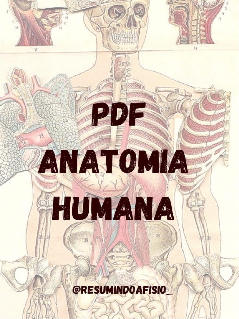 Anatomia Humana: Estruturas e Movimentos | PDF | Osso | Sistema Locomotor