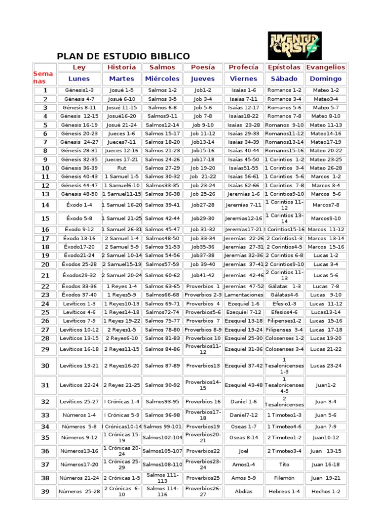 Plan De Estudio Biblico 1 Pdf Biblia Cristiana Nevi Im