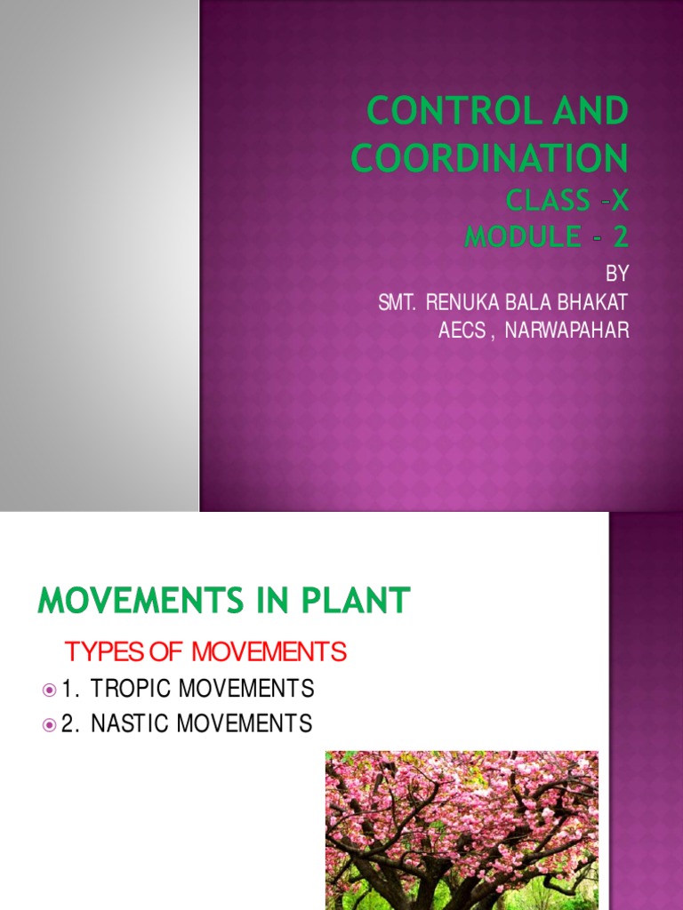 Control and Coordination, Class 10, Module 2.3, PPT | PDF | Plant ...