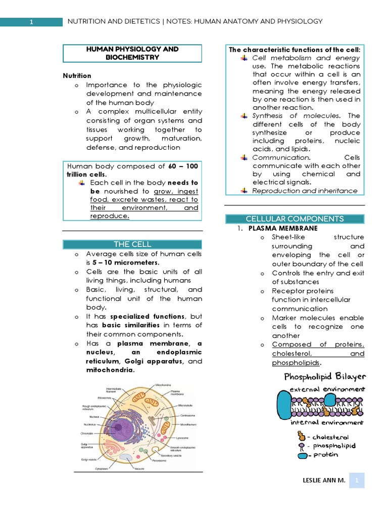 Notes Human Anatomy | PDF | Cell (Biology) | Cell Membrane