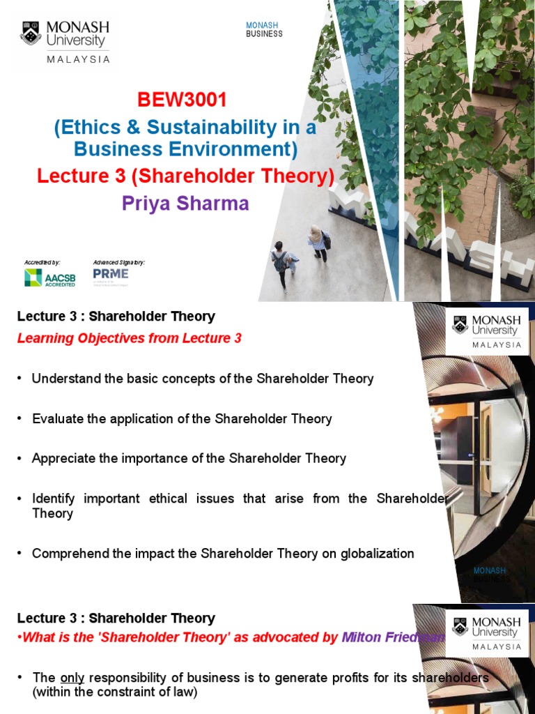 Shareholder Theory | PDF