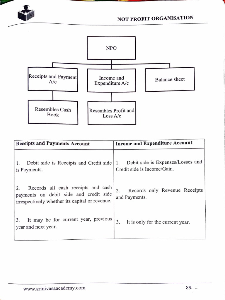 NPO Format | PDF | Debits And Credits | Expense
