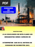 8 Pasos Del Sci | PDF