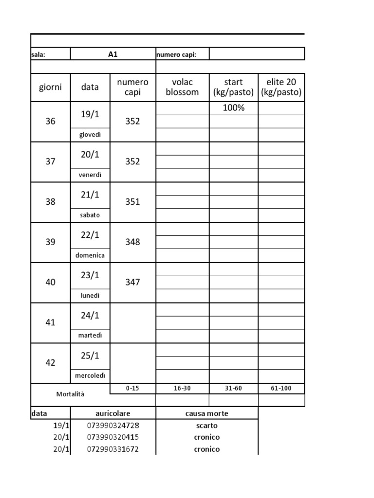 Tabella A1 Dal 19-01 Al 25 | PDF