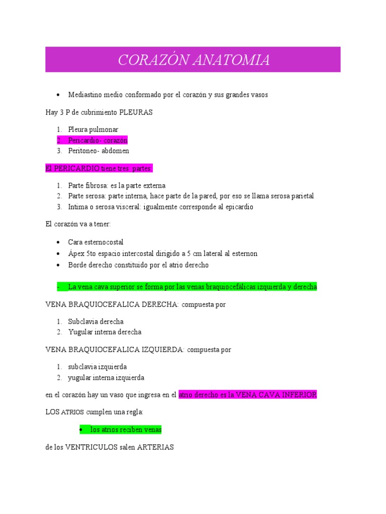 Cardio Anatomia Complet Pdf Ventrículo Corazón Corazón