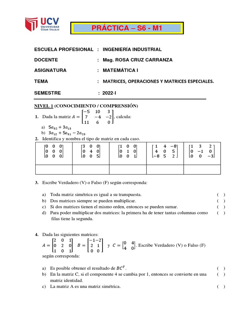 Práctica S6-M1 | PDF | Matriz (Matemáticas) | Física Matemática