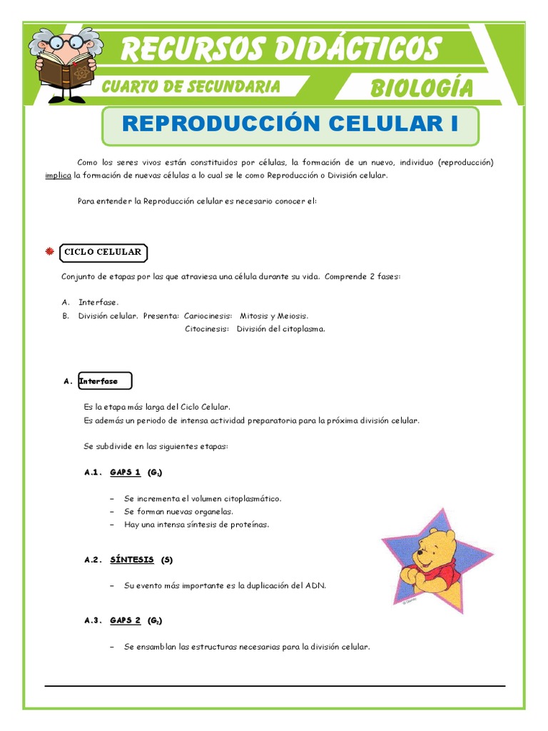 La Reproducción Celular Taller | PDF | Ciclo celular | Mitosis
