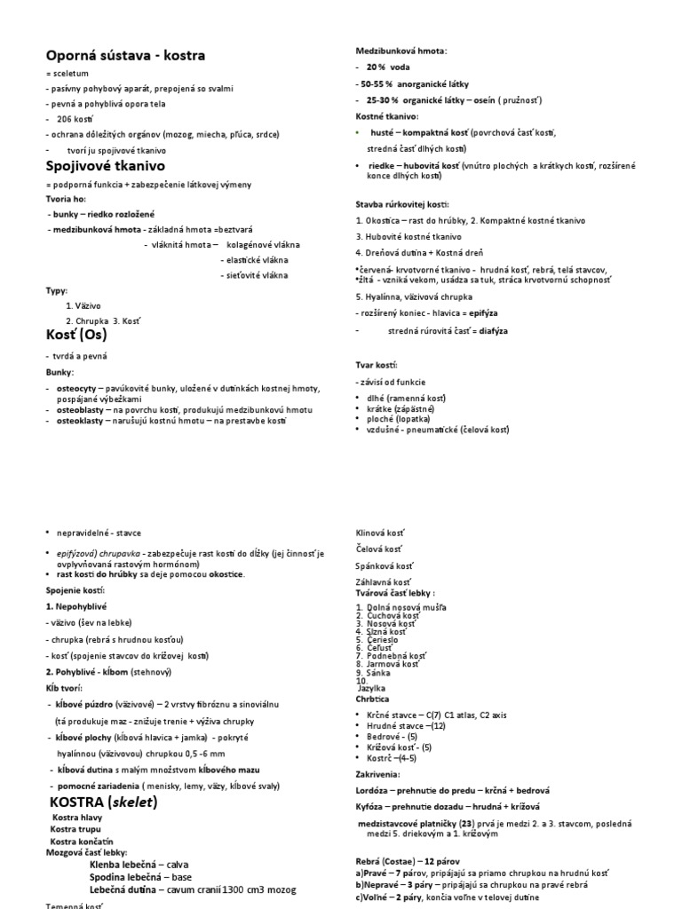 Oporná Sústava - Kostra | PDF