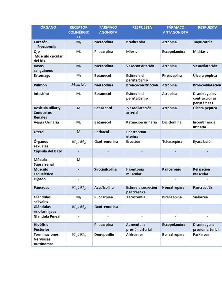 Receptores Colinergicos | PDF | Acetilcolina | Especialidades Medicas