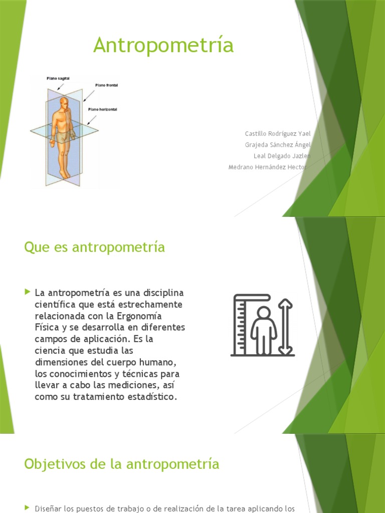 Antropometría Pdf Antropometría Medición