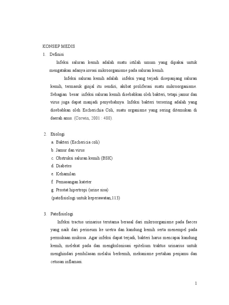 LP Anak Sakit - ISK | PDF