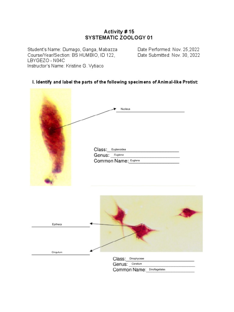 Act Sheet 15 Systematic Zoology 01 Exercise | PDF | Science & Mathematics