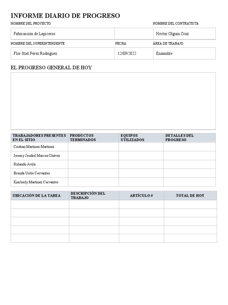 Informe de Progreso Diario | PDF