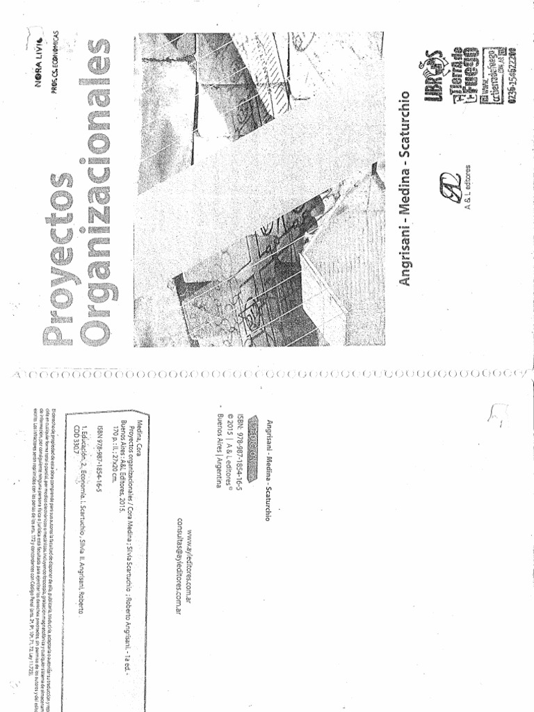 LIBRO Proyecto Organizacional Angrisani | PDF