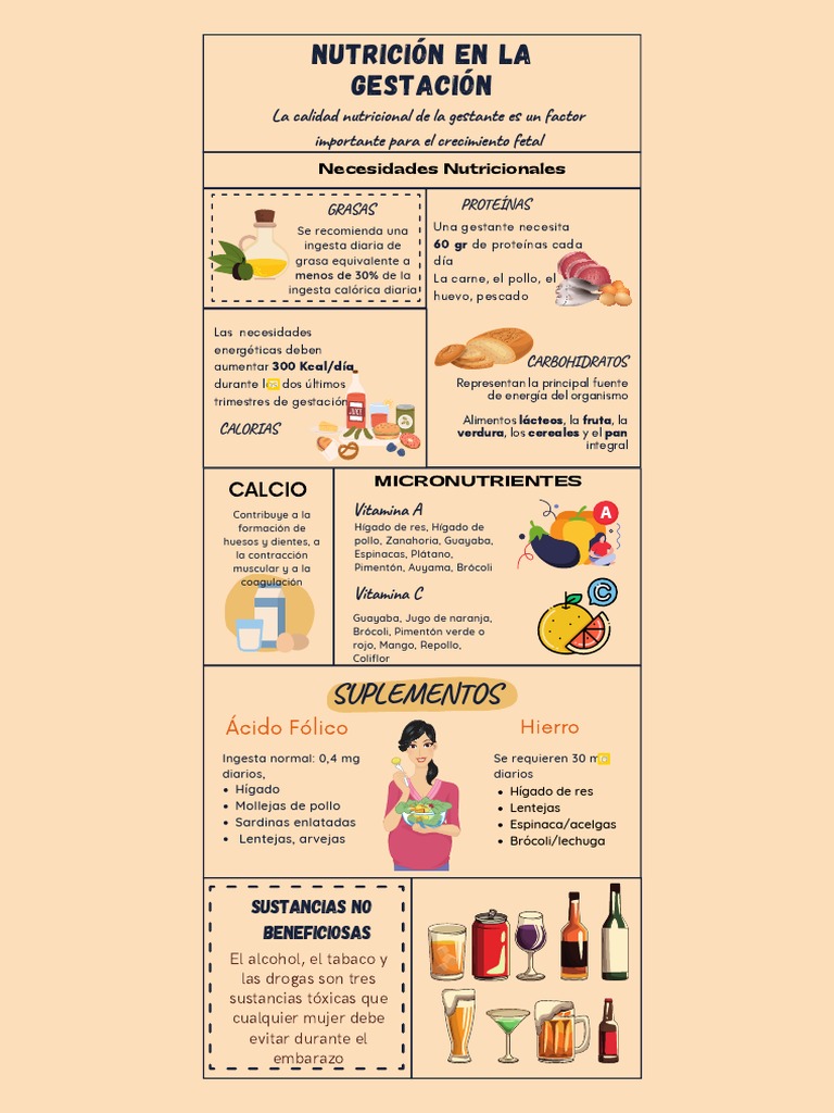 Anexo 2 - Infografía Nutrición | PDF