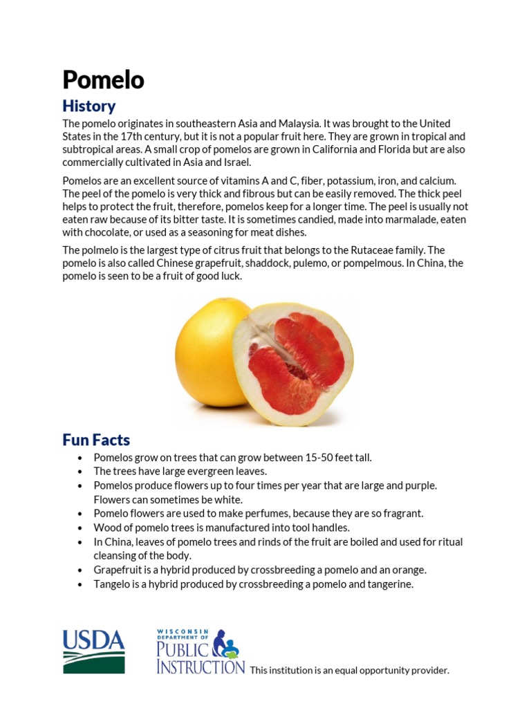 Fact Sheet Pomelo | PDF