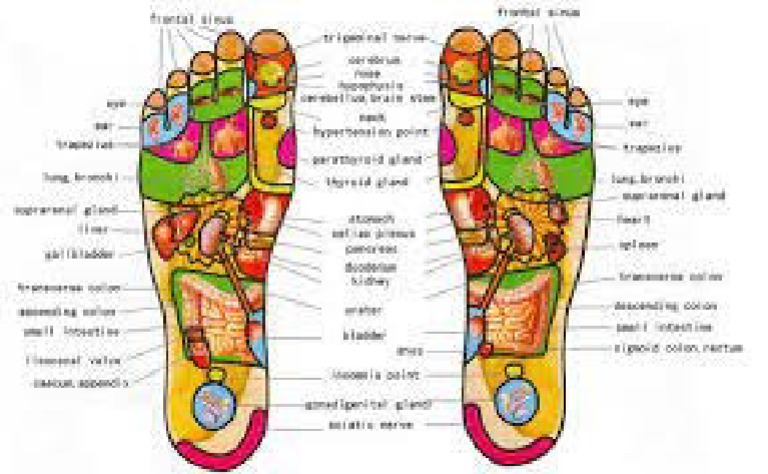Feet Acupunture Points | PDF