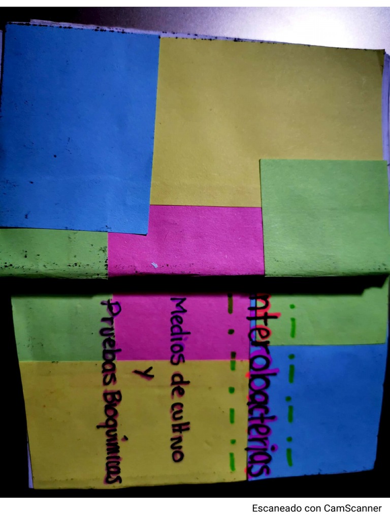 Enterobacterias, Crisolis Leslie. | PDF