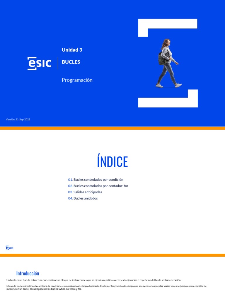 P - Unidad 3 Bucles | PDF | Informática | Programación de computadoras