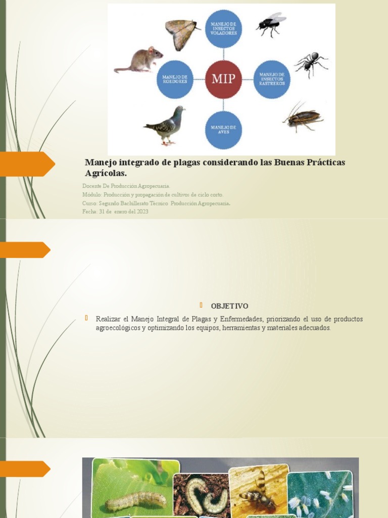Manejo Integrado de Plagas Considerando Las Buenas Prácticas | Descargar gratis PDF | Plaga ...