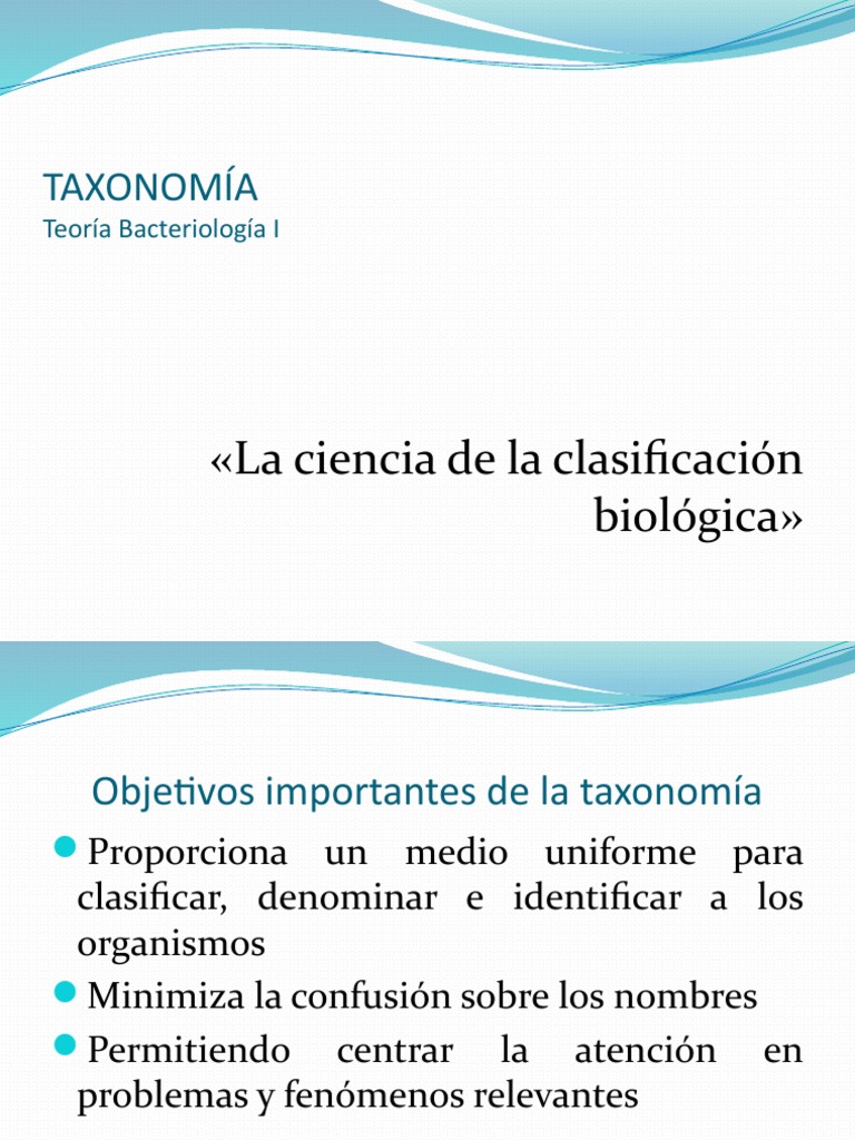 Taxonomía Bacteriana Bacter I | PDF | Las bacterias | Bacterias Gram Positivas