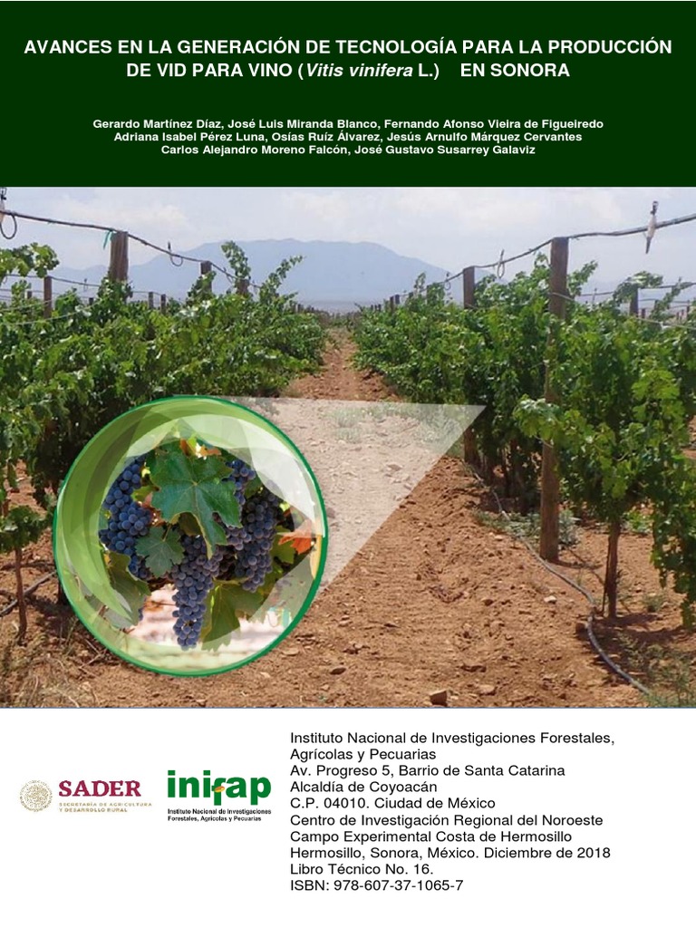 5170 Avances en La Generación de Tecnología para La Producción de Vid para Vino (Vitis Vinífera ...
