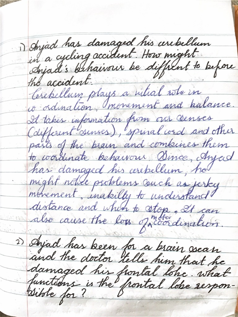 Scanned Document | PDF