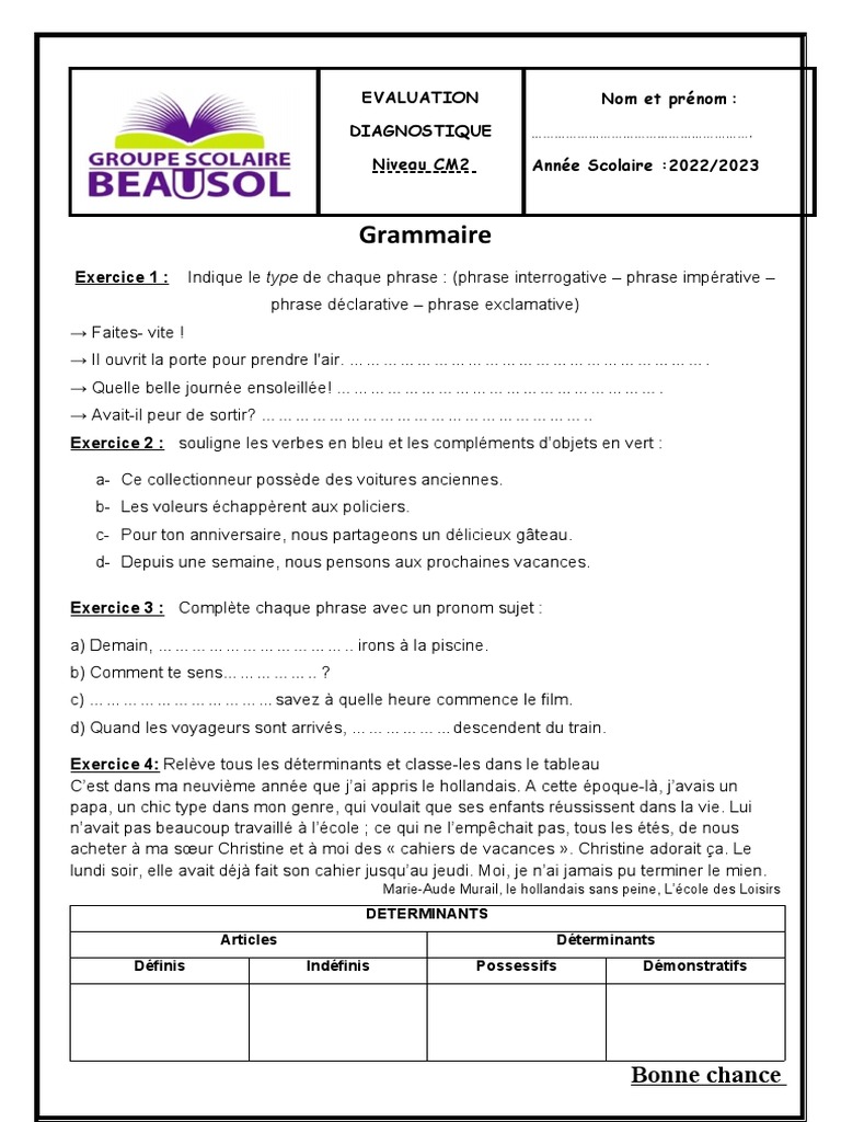 Evaluation Diagnostique Grammaire cm2 | PDF