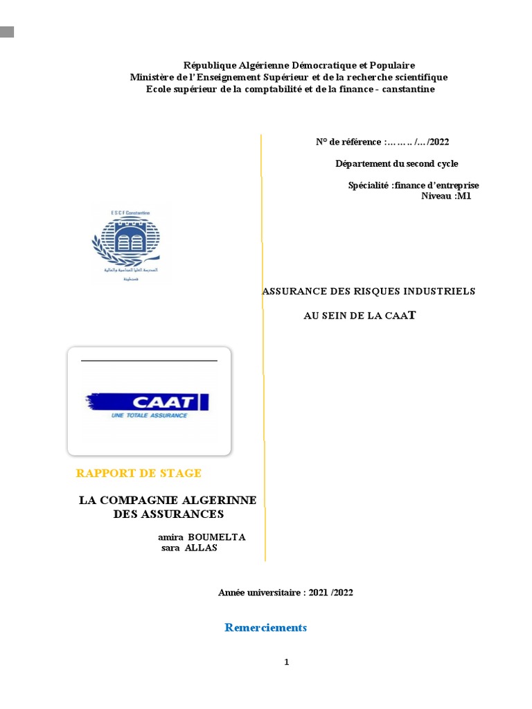 CAAT - Copie | PDF | Assurance | Risque