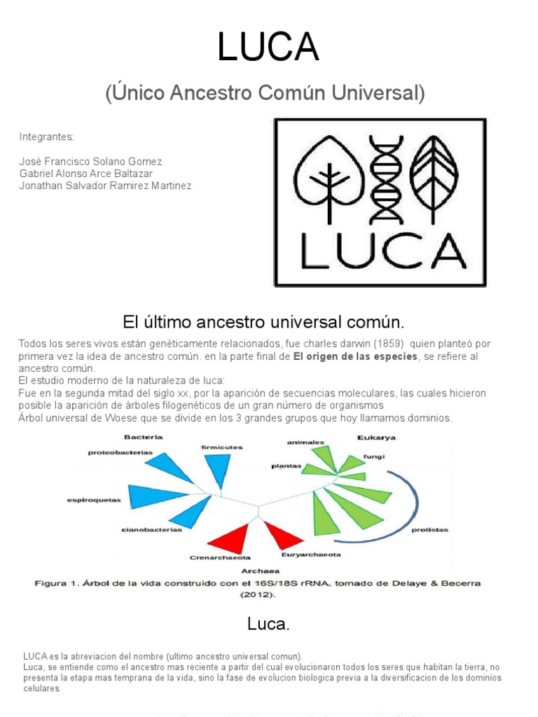 LUCA | PDF | Organismos | Archaea