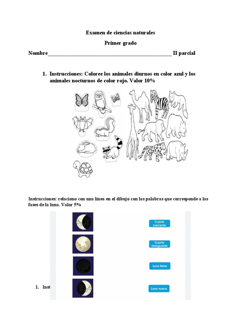 Examen de Ciencias Naturales 1er Grado | PDF | Ciencia y matemáticas