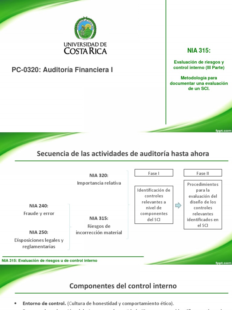 NIA 315 Metodología para Documentar Una Evaluación de SCI | PDF | Auditoría | Planificación