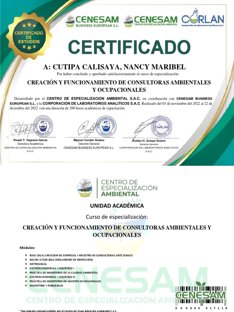 Cutipa Calisaya, Nancy Maribel | PDF