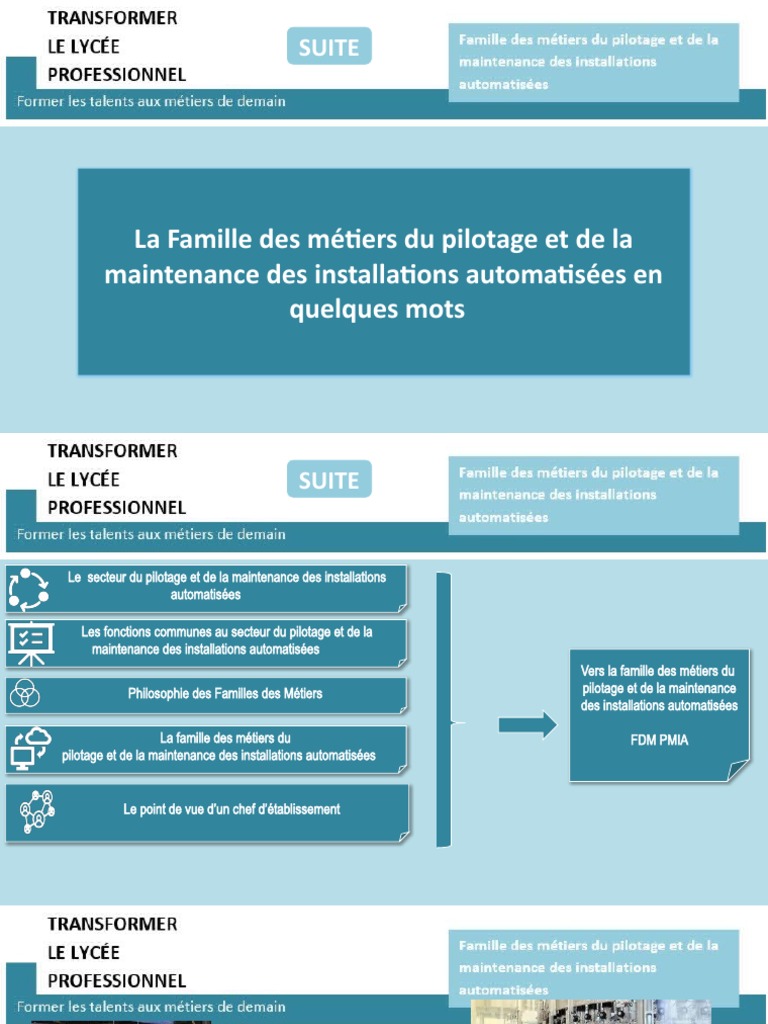 FDM PMIA - Les Enjeux de La FDM PMIA 25-03-2021 | PDF | Secteur ...