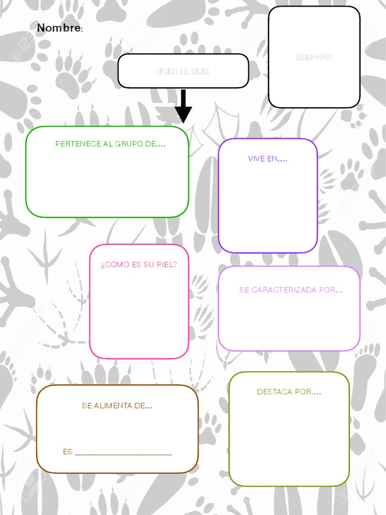 Describimos Nuestro Animal Favorito | PDF