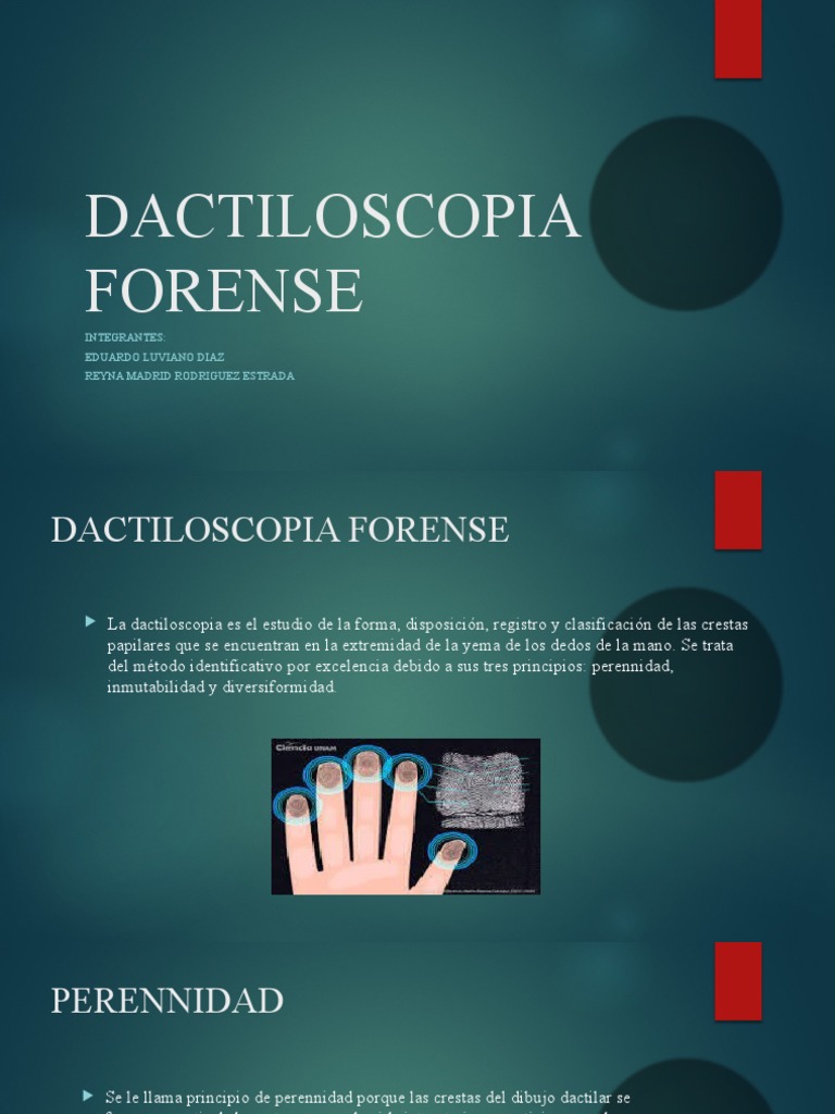 Dactiloscopia Forense: Principios y Técnicas | PDF | Huella dactilar ...