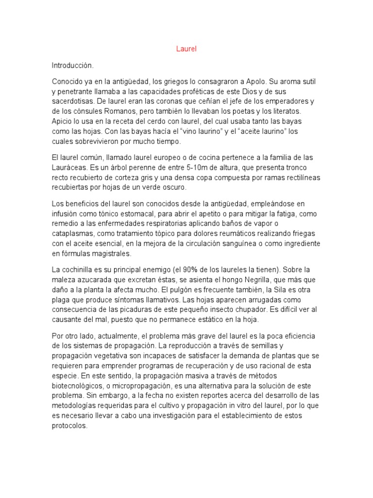 Introducción Laurel | PDF