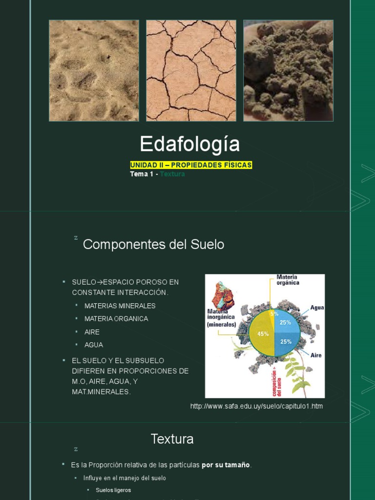 Edafología (UII) - Propiedades Físicas | PDF | Suelo | Densidad