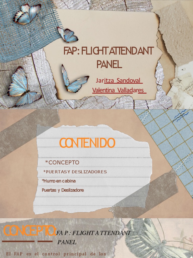 Presentación Fap | PDF