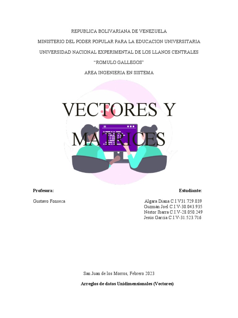 Vectores y Matrices | PDF | Matriz (Matemáticas) | Programación de computadoras