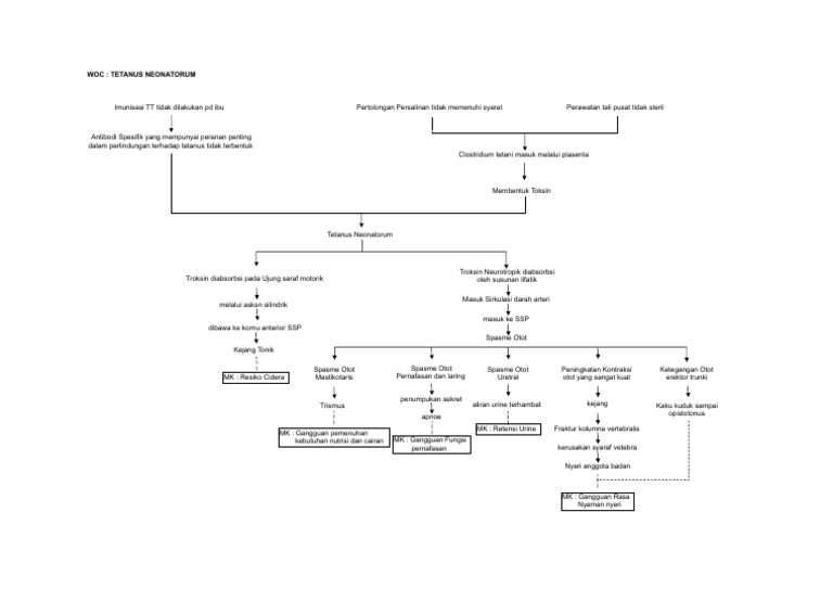 Woc: Tetanus Neonatorum | PDF